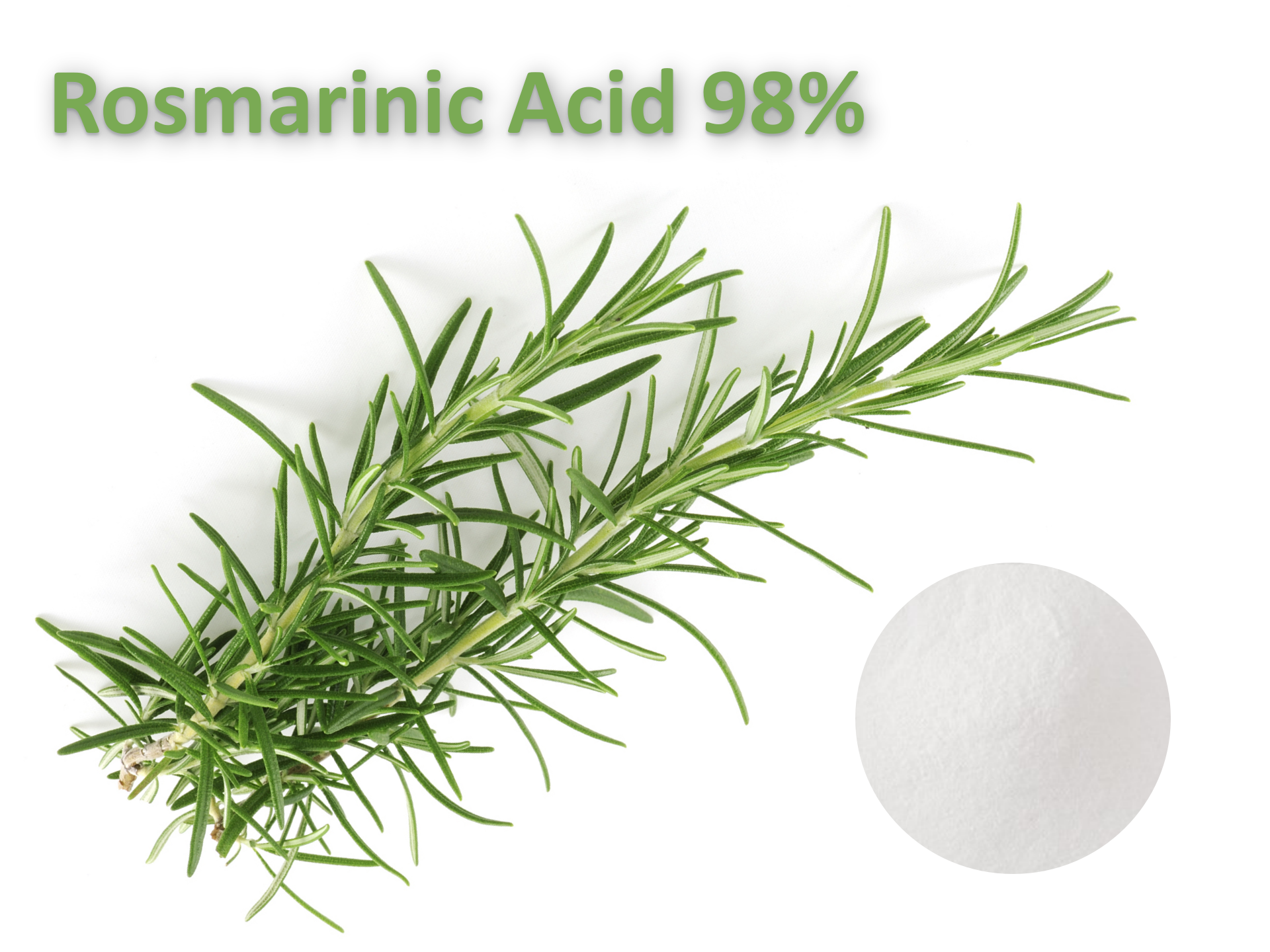 Rosmarinic Acid 98% from China manufacturer - Guangzhou Jiahua Chemical ...
